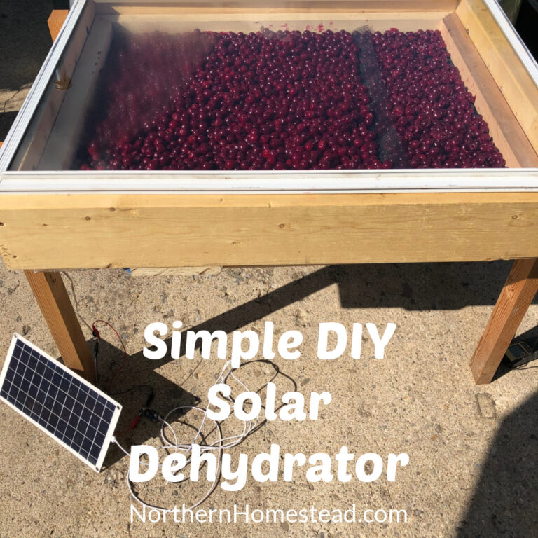 Simple DIY Solar Food Dehydrator - Northern Homestead