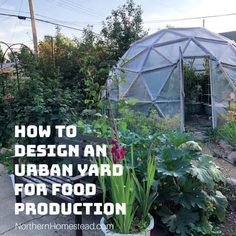 How to design an urban yard for food production - Northern Homestead