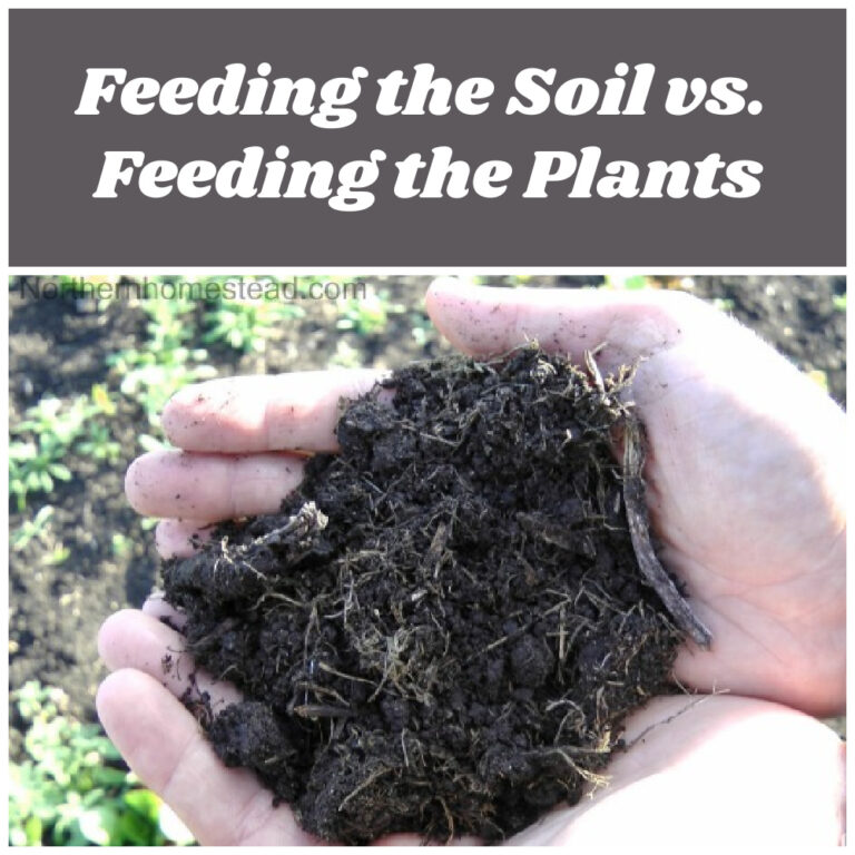 Feeding the Soil vs. Feeding the Plants - Northern Homestead